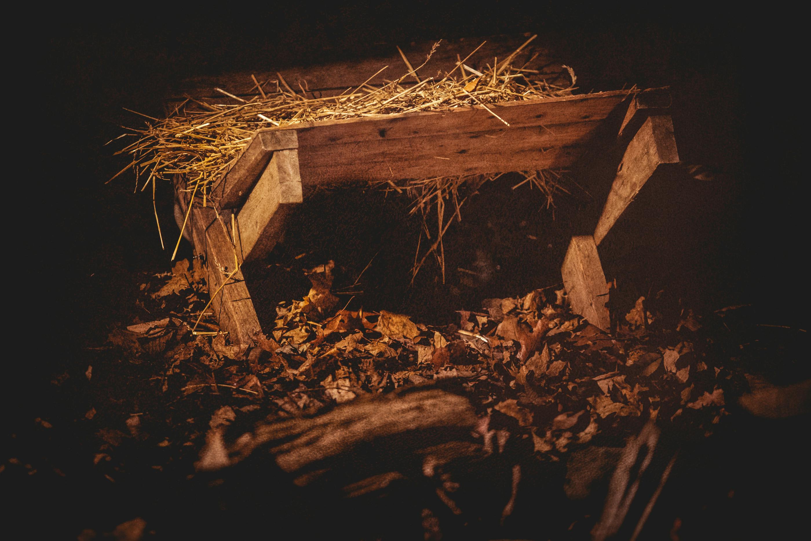 And He Shall Be Called: How Isaiah Describes the Messiah — Blog ...